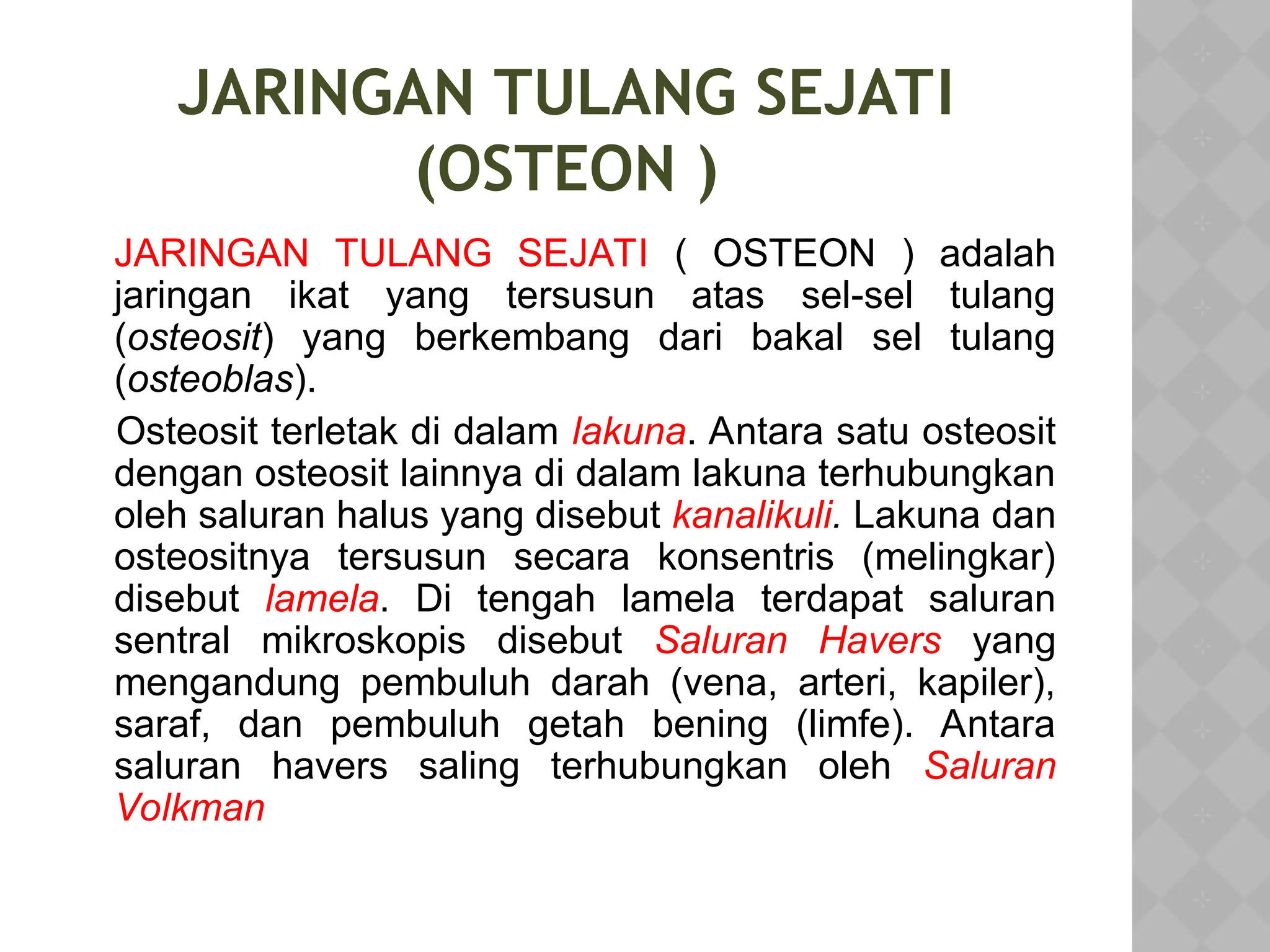 STRUKTUR_DAN_FUNGSI_ORGAN_HEWAN_DAN_MAN.ppt