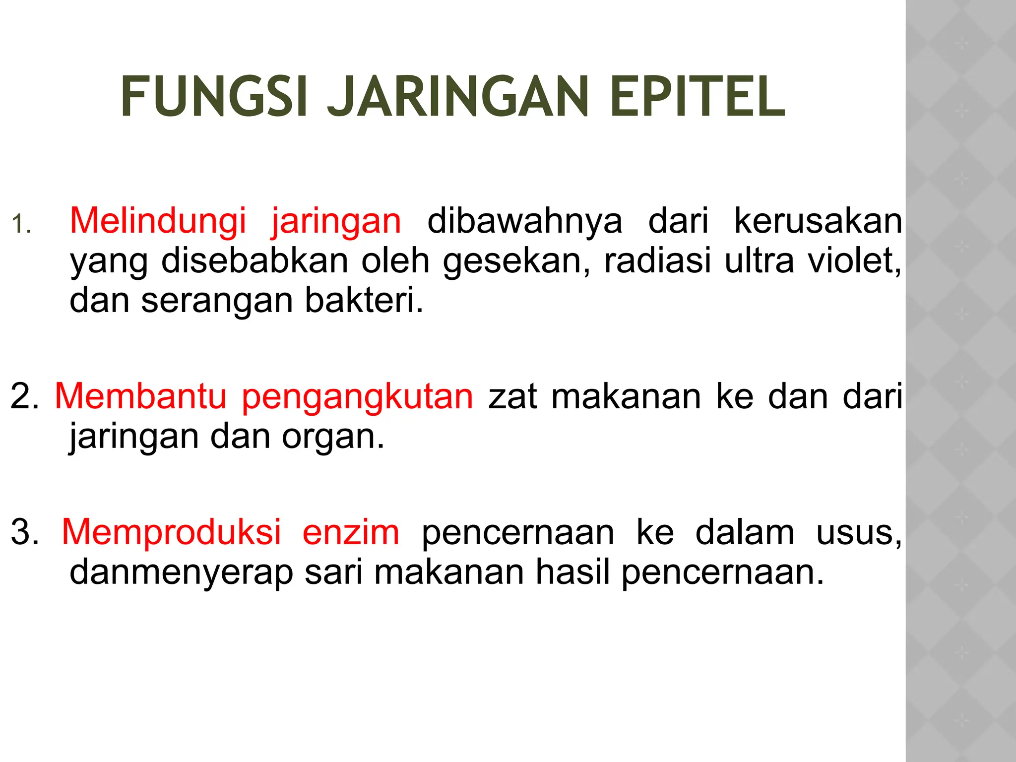 STRUKTUR_DAN_FUNGSI_ORGAN_HEWAN_DAN_MAN.ppt