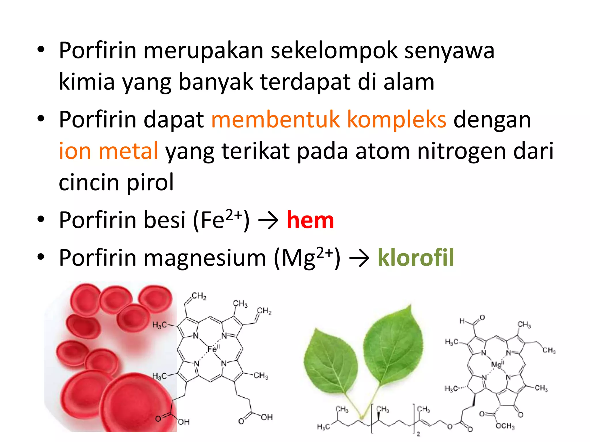 Struktur dan fungsi protein NPN_2022.pptx