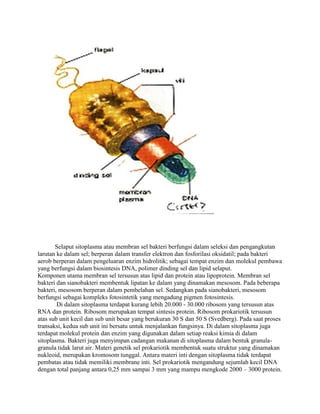 Struktur dan fungsi retikulum endoplasma AKPER PEMKAB MUNA | DOCX