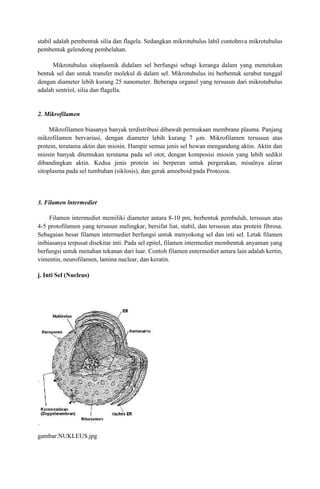 Struktur dan fungsi retikulum endoplasma (autosaved) ilas AKPER PEMKAB ...