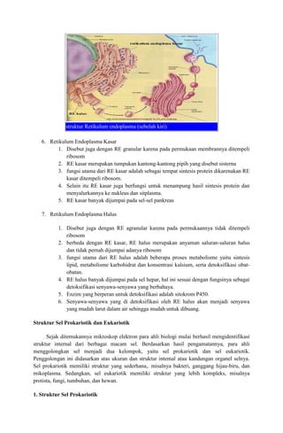 Struktur dan fungsi retikulum endoplasma (autosaved) ilas AKPER PEMKAB ...