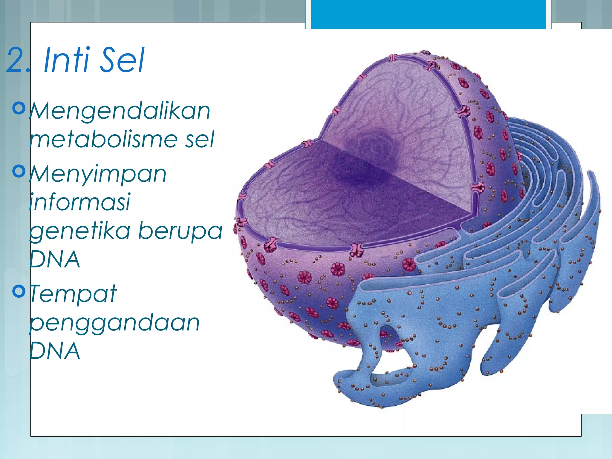 Struktur dan Fungsi sel | PPT