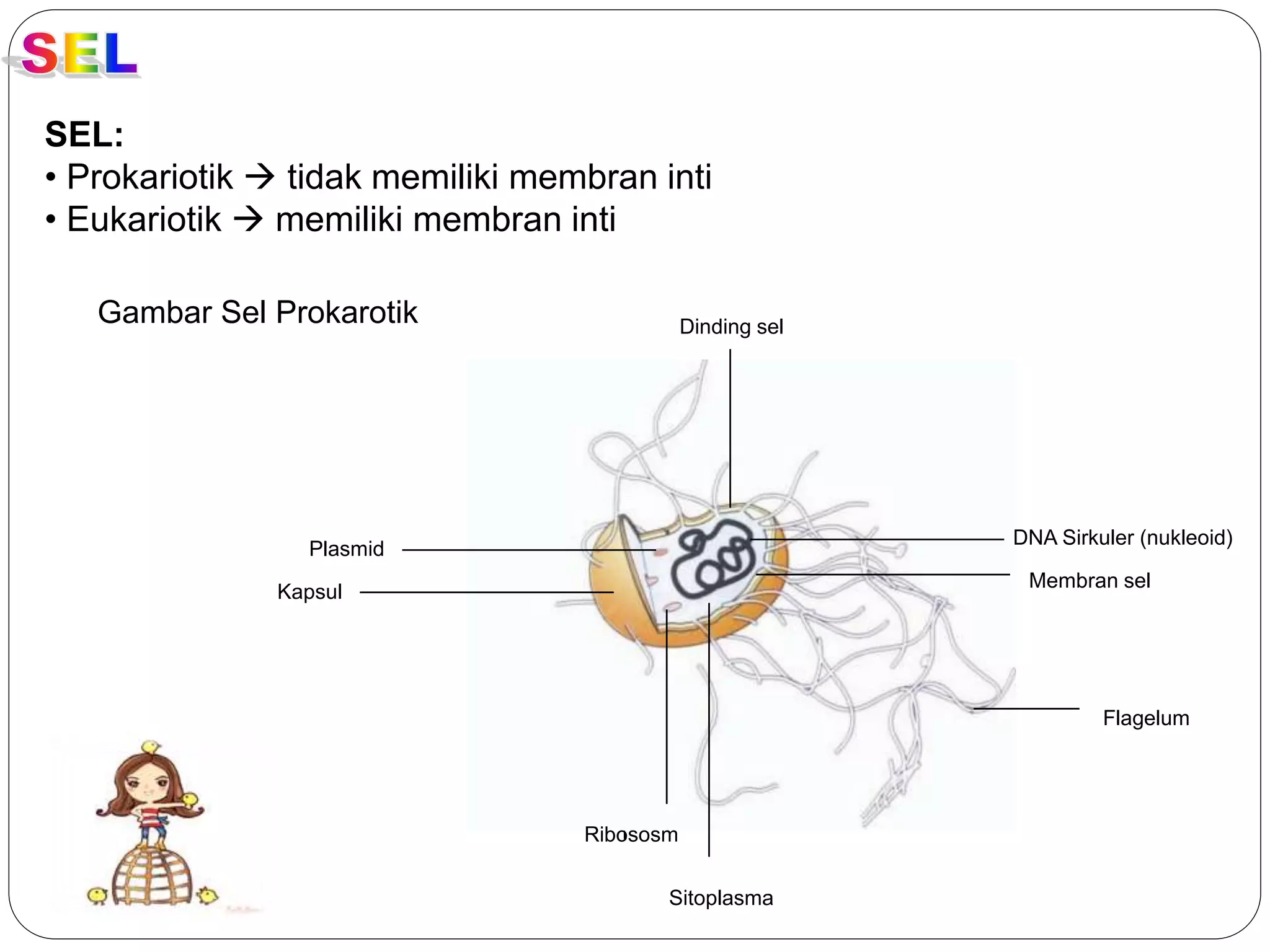 Struktur_dan_Fungsi_Sel.pptx