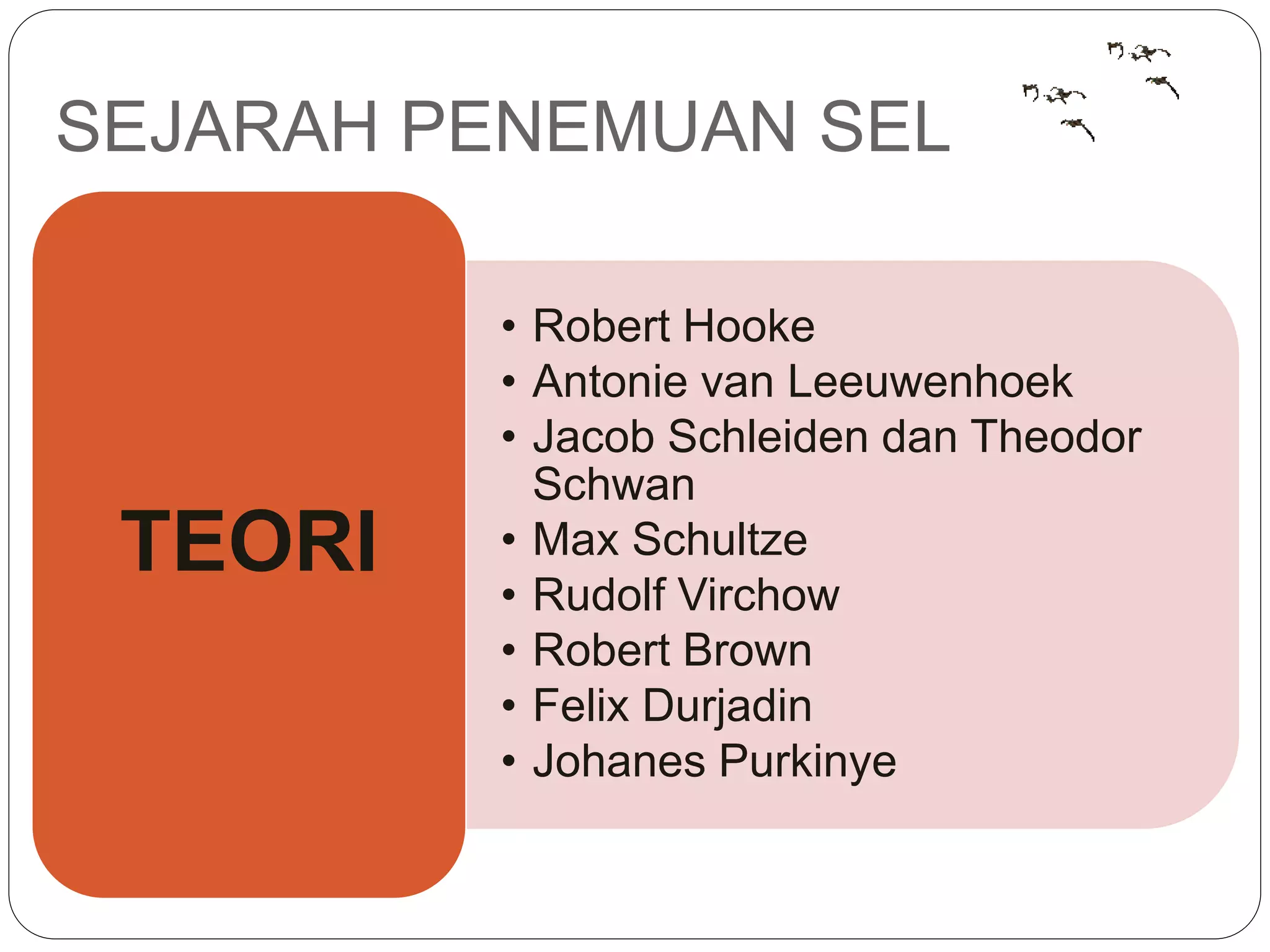 Struktur_dan_Fungsi_Sel.pptx