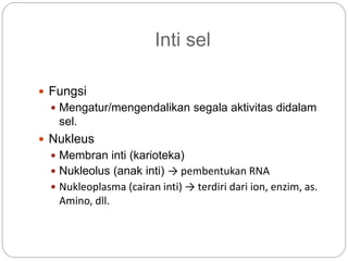 Struktur_dan_Fungsi_Sel.pptx