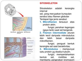 Struktur_dan_Fungsi_Sel.pptx