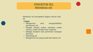 STRUKTUR DAN FUNGSI SEL PADA KELAS XI SMA.pptx