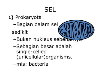 Struktur dan fungsi sel 9 | PPT