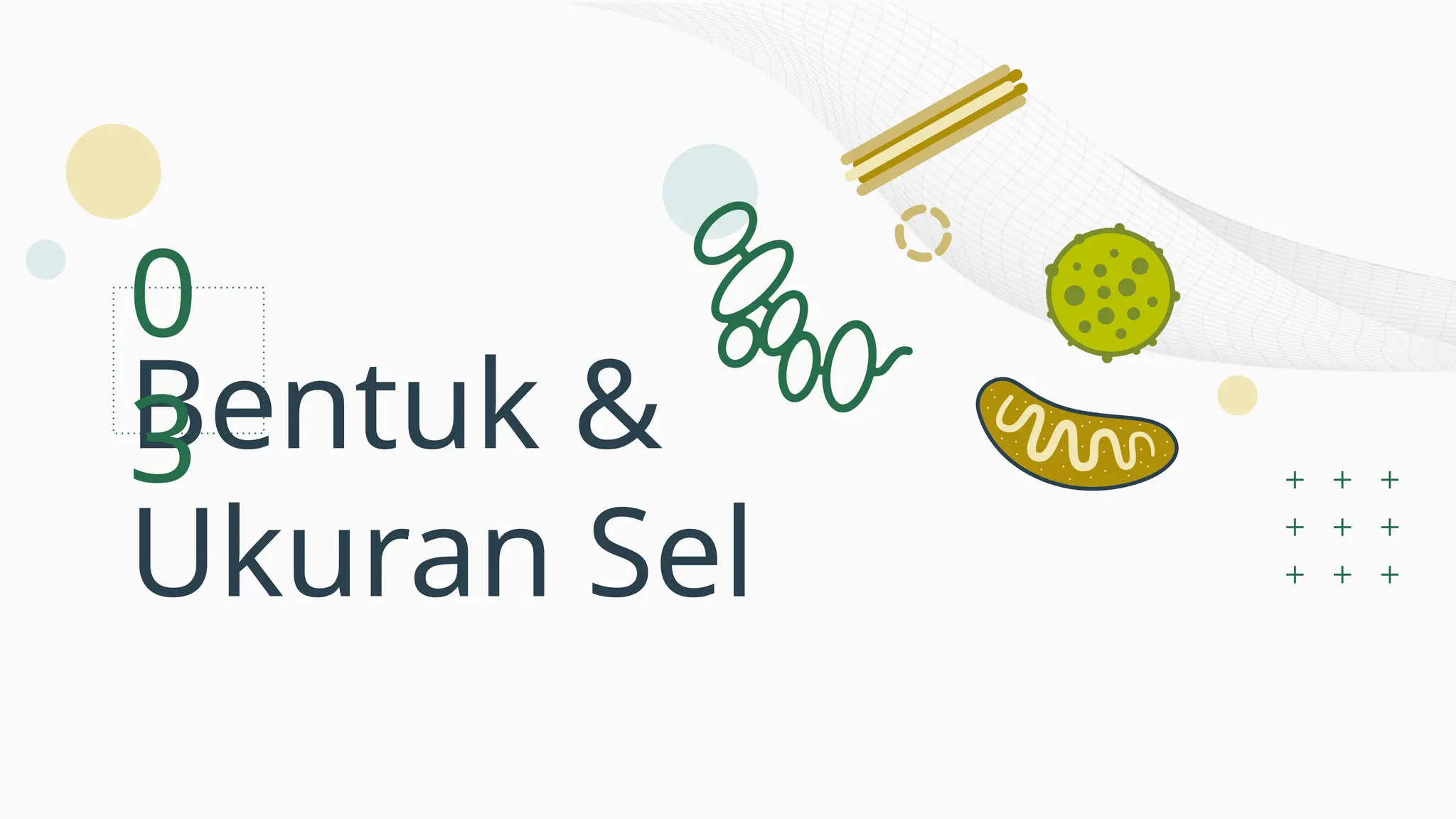 struktur dan fungsi sel biologI kelas xi.pptx