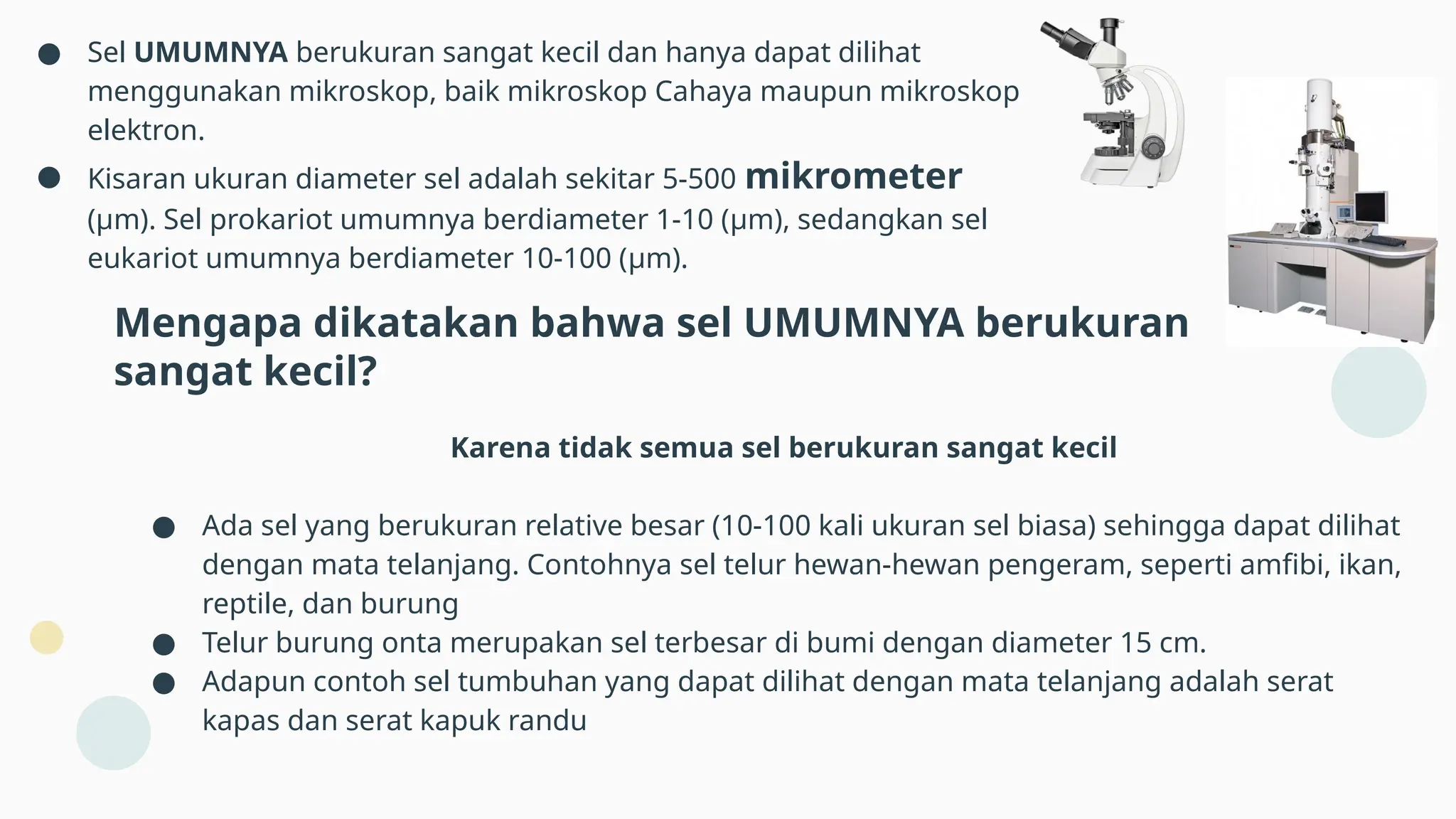 struktur dan fungsi sel biologI kelas xi.pptx