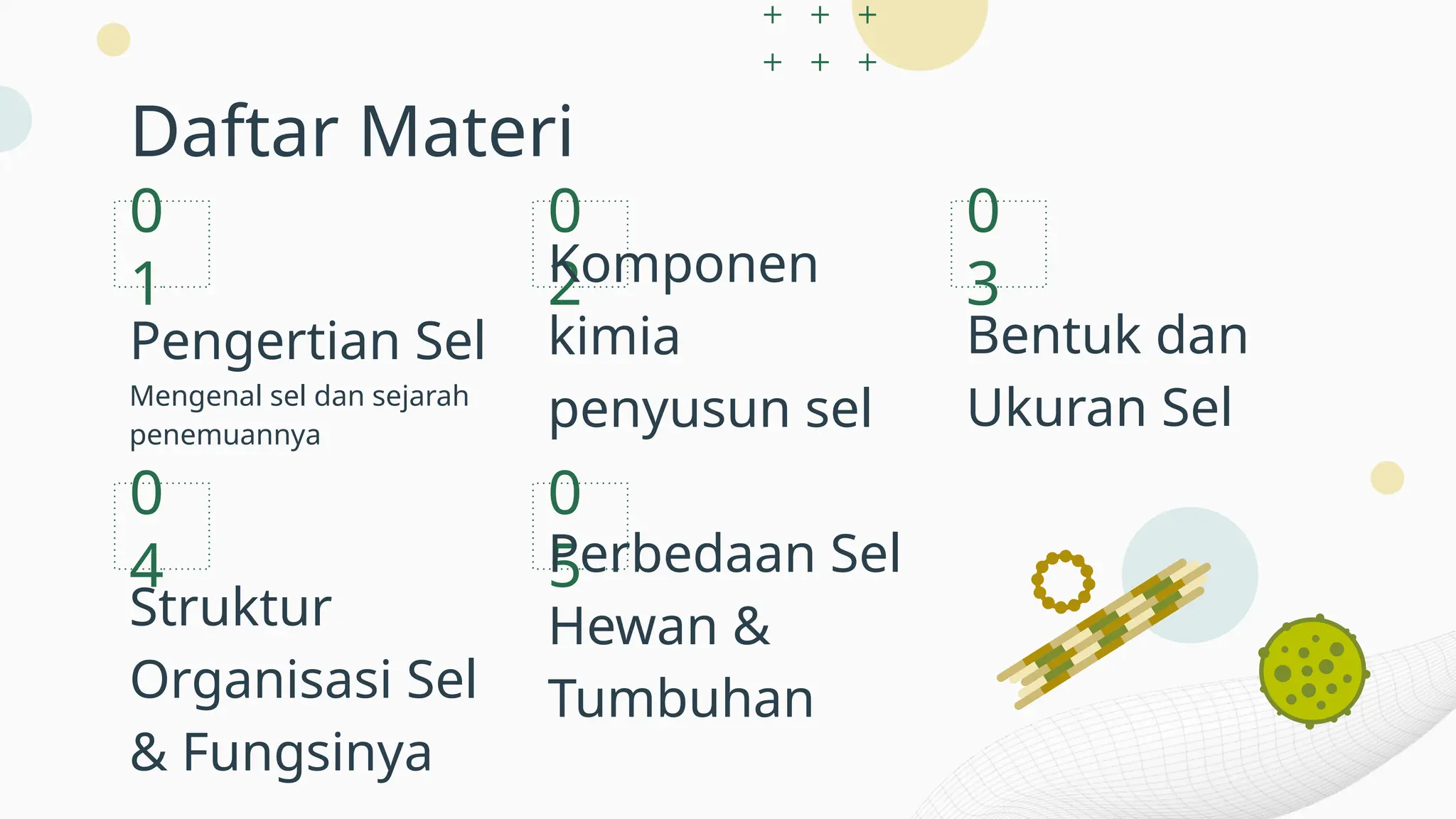 struktur dan fungsi sel biologI kelas xi.pptx