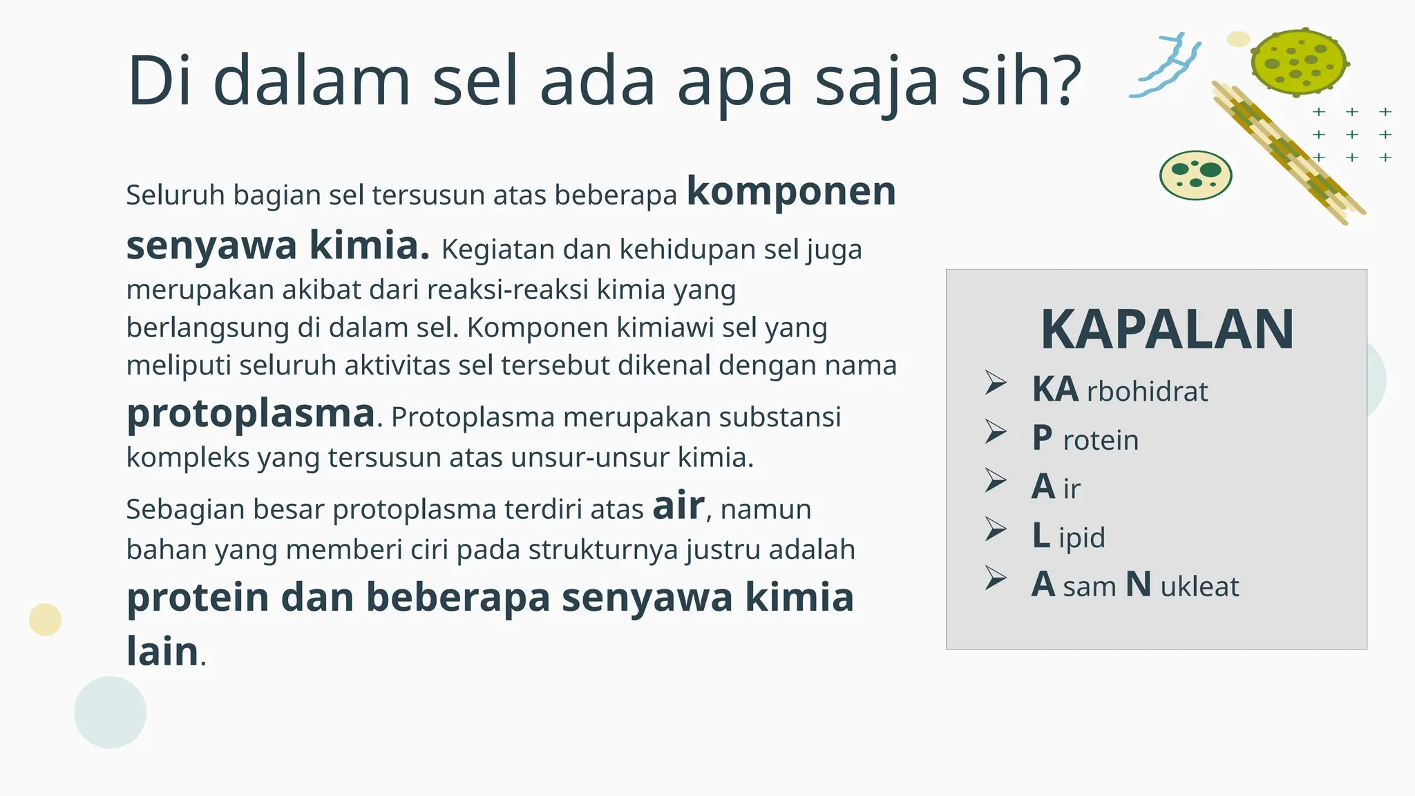 struktur dan fungsi sel biologI kelas xi.pptx