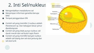 struktur dan fungsi sel biologI kelas xi.pptx