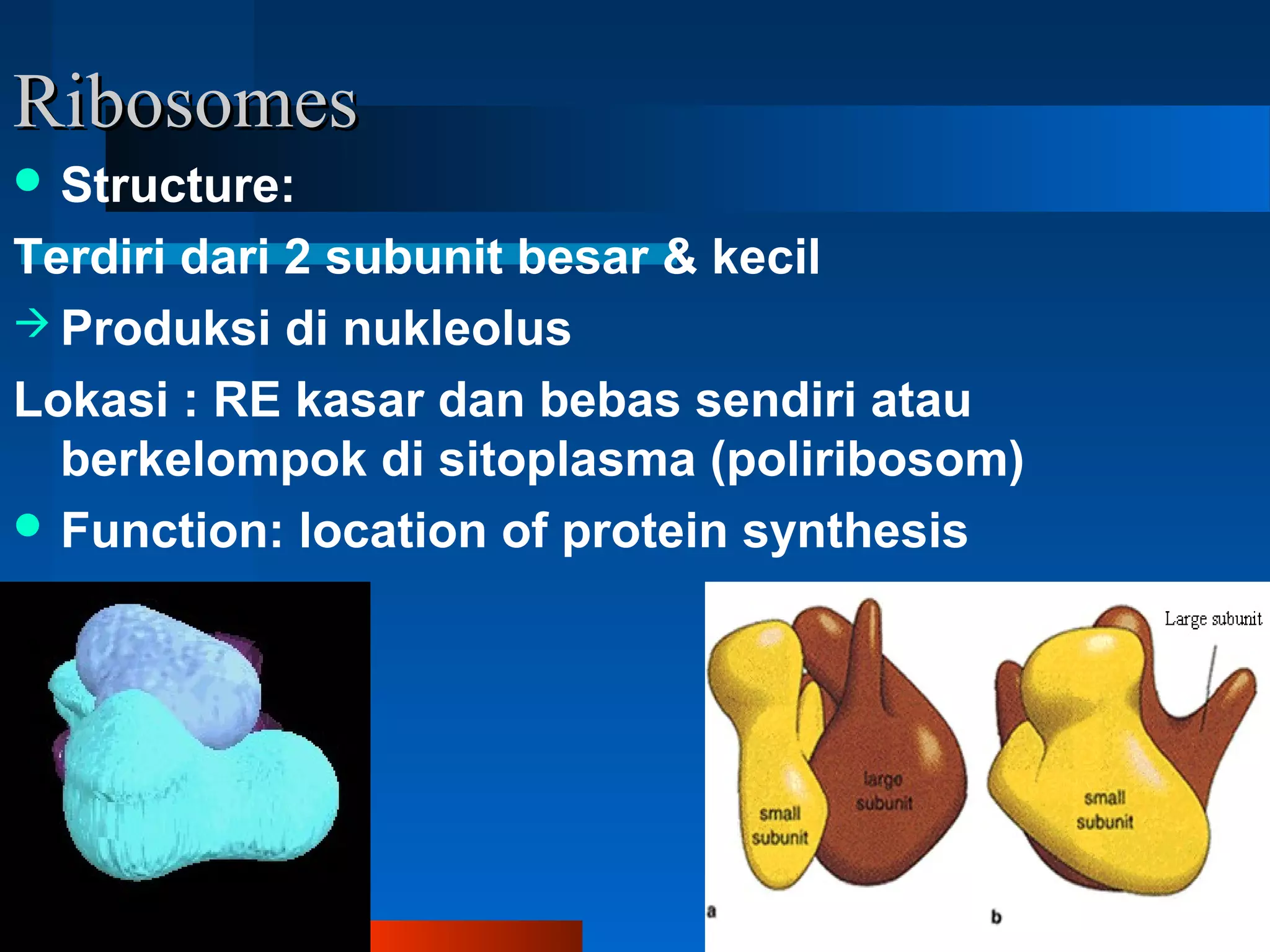 Struktur dan fungsi sel | PDF