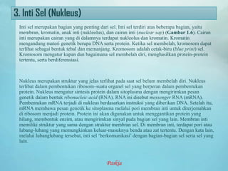 Struktur dan fungsi sel hewan dan tumbuhan | PPTX