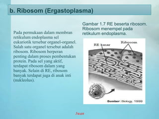 Struktur dan fungsi sel hewan dan tumbuhan | PPTX