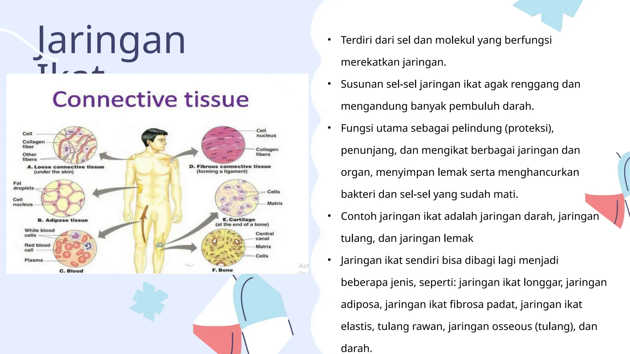 Struktur dan fungsi sel Jaringan dan sistem tubuh.pptx | Free Download