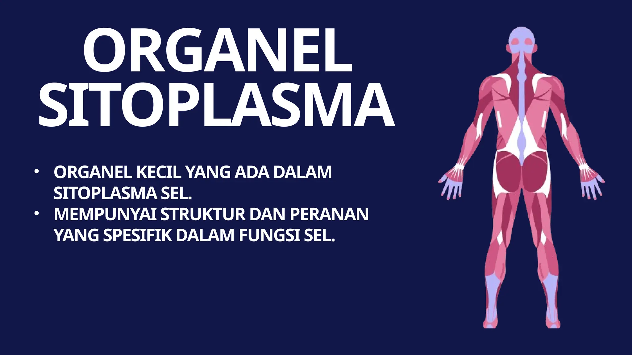 Struktur dan fungsi sel Jaringan dan sistem tubuh.pptx | Free Download