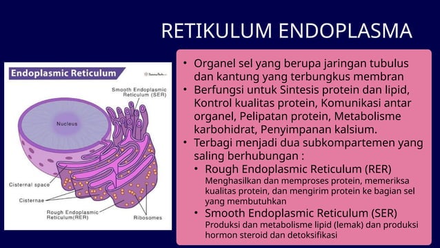Struktur dan fungsi sel Jaringan dan sistem tubuh.pptx | Free Download