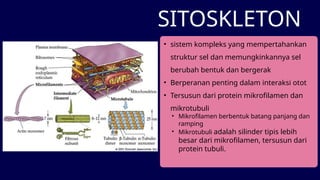 Struktur dan fungsi sel Jaringan dan sistem tubuh.pptx | Free Download