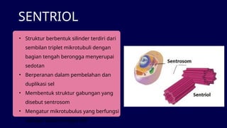 Struktur dan fungsi sel Jaringan dan sistem tubuh.pptx | Free Download