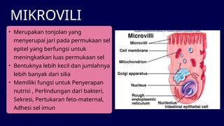 Struktur dan fungsi sel Jaringan dan sistem tubuh.pptx | Free Download