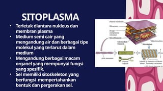 Struktur dan fungsi sel Jaringan dan sistem tubuh.pptx | Free Download