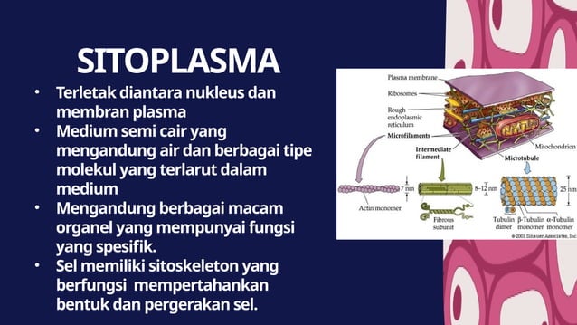 Struktur dan fungsi sel Jaringan dan sistem tubuh.pptx | Free Download
