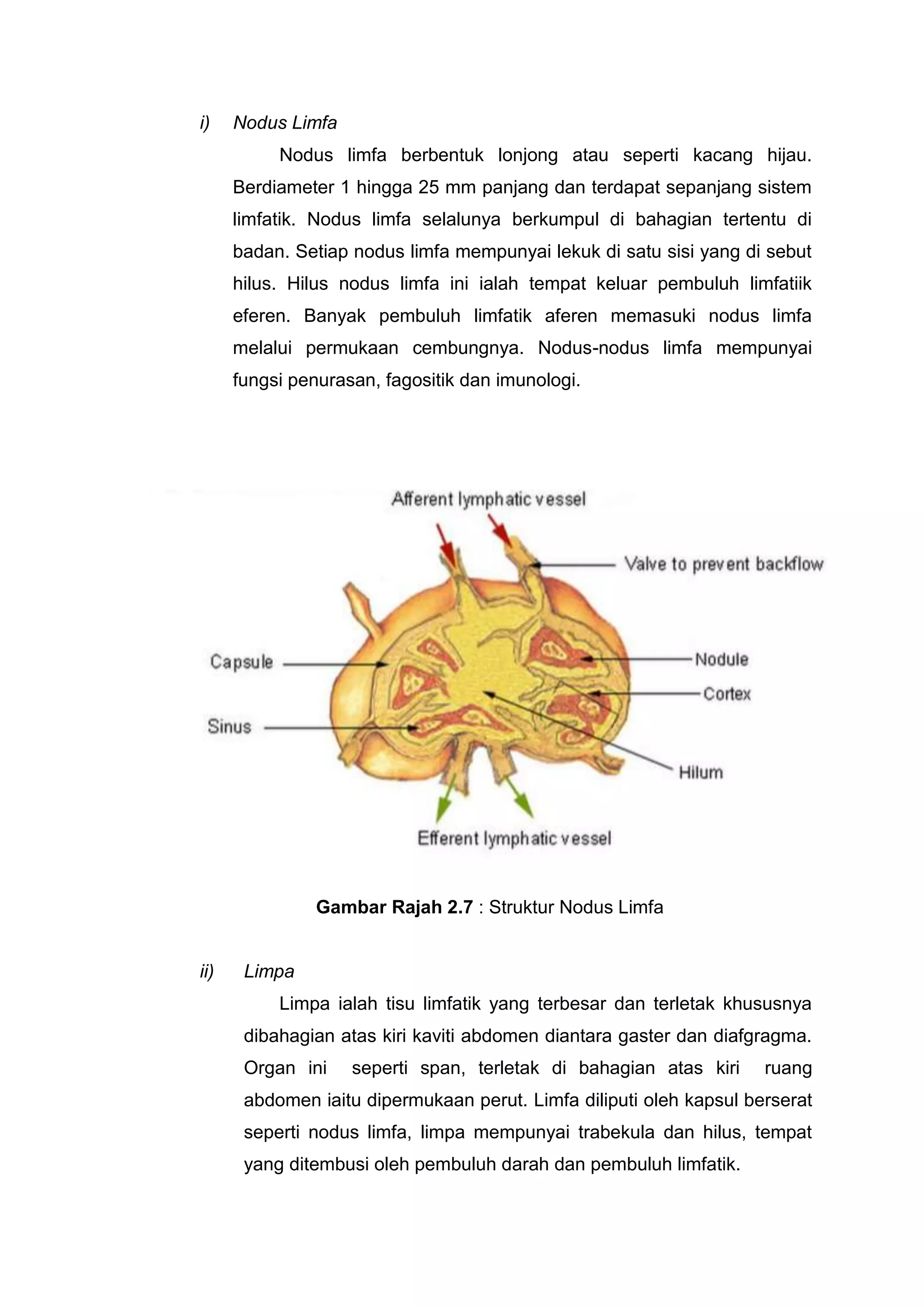 Struktur dan fungsi sistem limfatik by fie | PDF Struktur dan fungsi sistem limfatik by fie | PDF