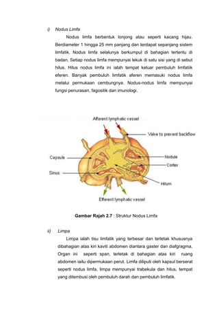 Struktur dan fungsi sistem limfatik by fie | DOCX