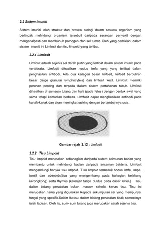 Struktur dan fungsi sistem limfatik by fie | DOCX