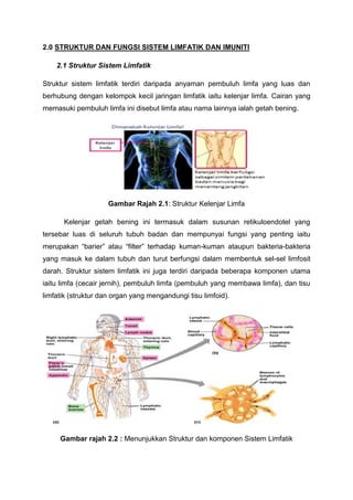 Struktur dan fungsi sistem limfatik by fie | PDF