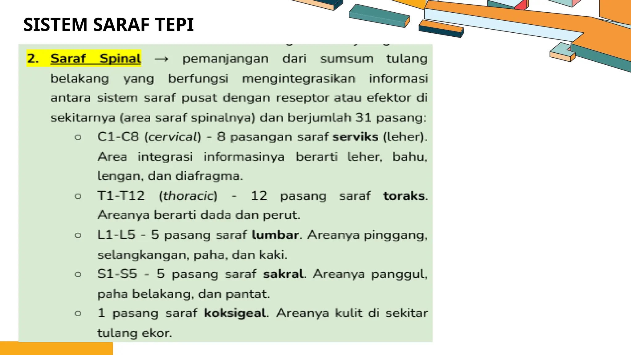 STRUKTUR DAN FUNGSI SISTEM SARAF kelas 11.pptx STRUKTUR DAN FUNGSI SISTEM SARAF kelas 11.pptx
