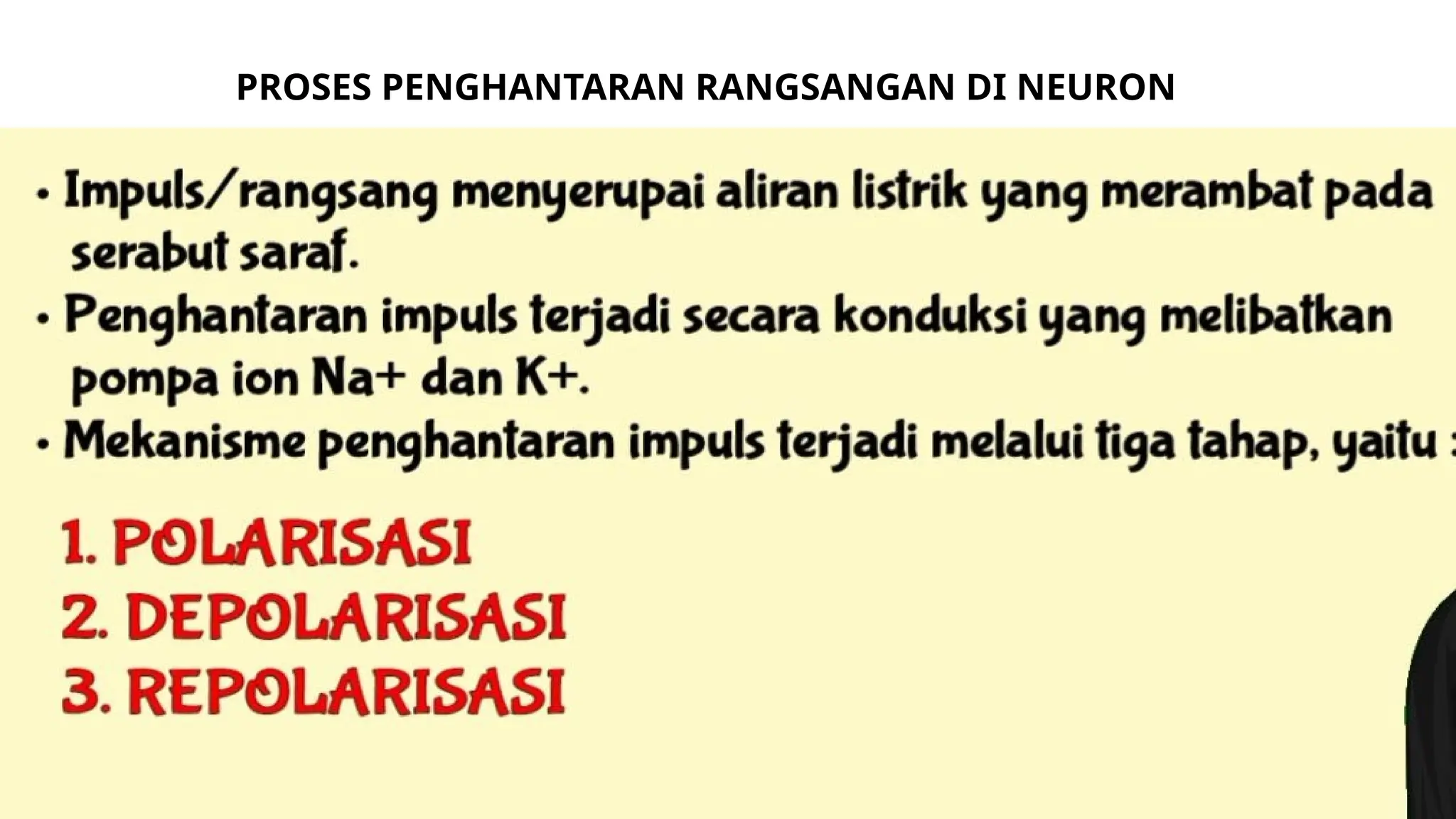 STRUKTUR DAN FUNGSI SISTEM SARAF kelas 11.pptx