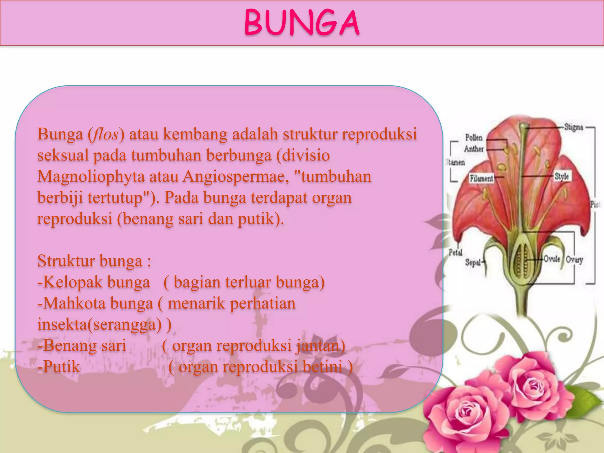 Struktur dan fungsi tubuh tumbuhan | PPTX
