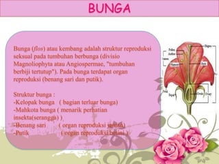 Struktur dan fungsi tubuh tumbuhan | PPTX