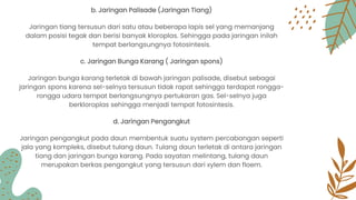 STRUKTUR DAN FUNGSI TUMBUHAN.pptx