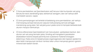 STRUKTUR DAN FUNGSI TUMBUHAN.pptx