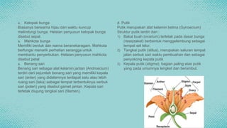 STRUKTUR DAN FUNGSI TUMBUHAN.pptx