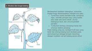 STRUKTUR DAN FUNGSI TUMBUHAN.pptx