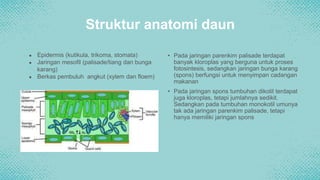STRUKTUR DAN FUNGSI TUMBUHAN.pptx