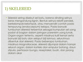 STRUKTUR_DAN_FUNGSI_TUMBUHAN.POWER POINT | PPTX