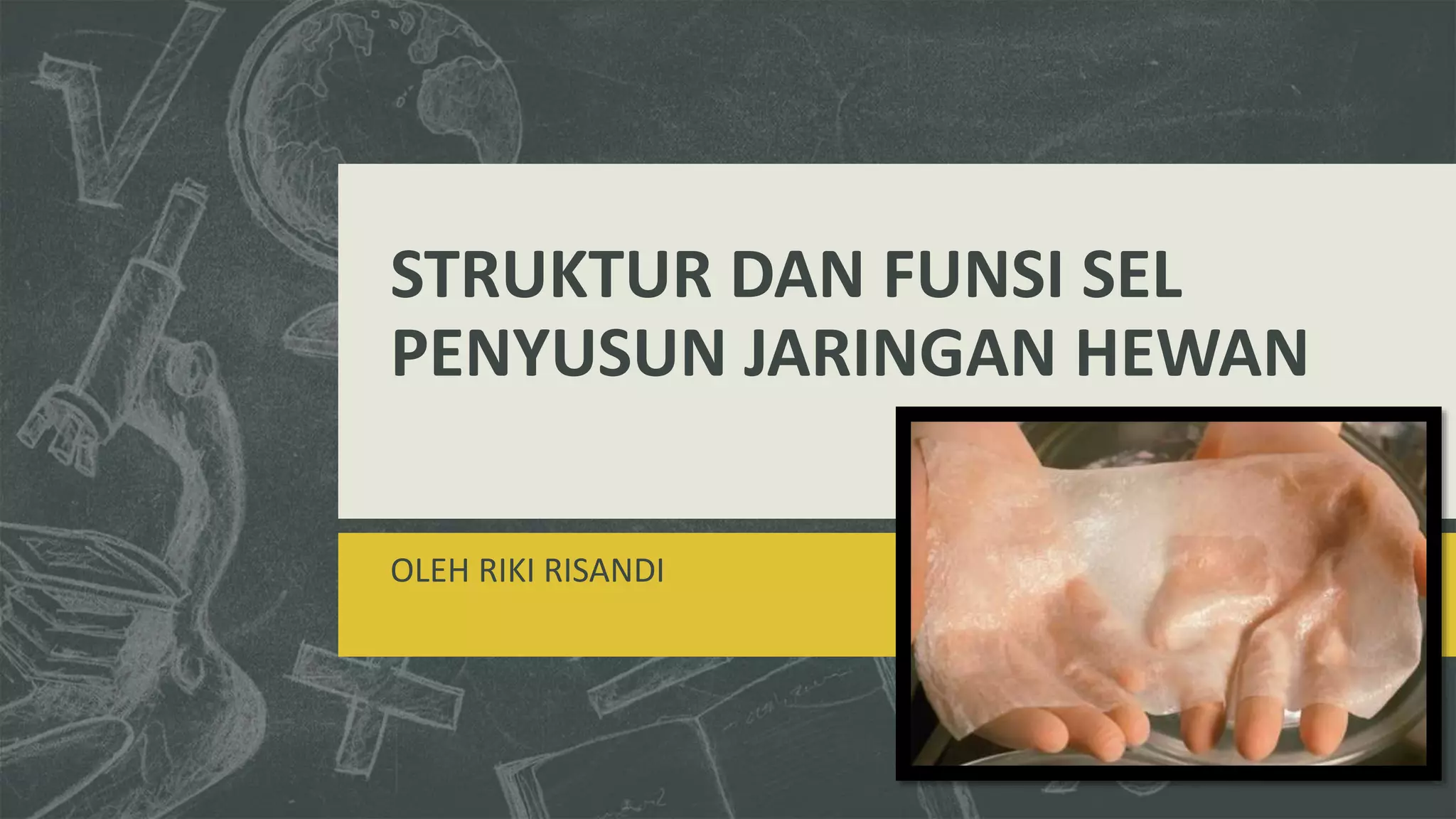 Struktur dan fungsi sel penyusun jaringan hewan | PPTX