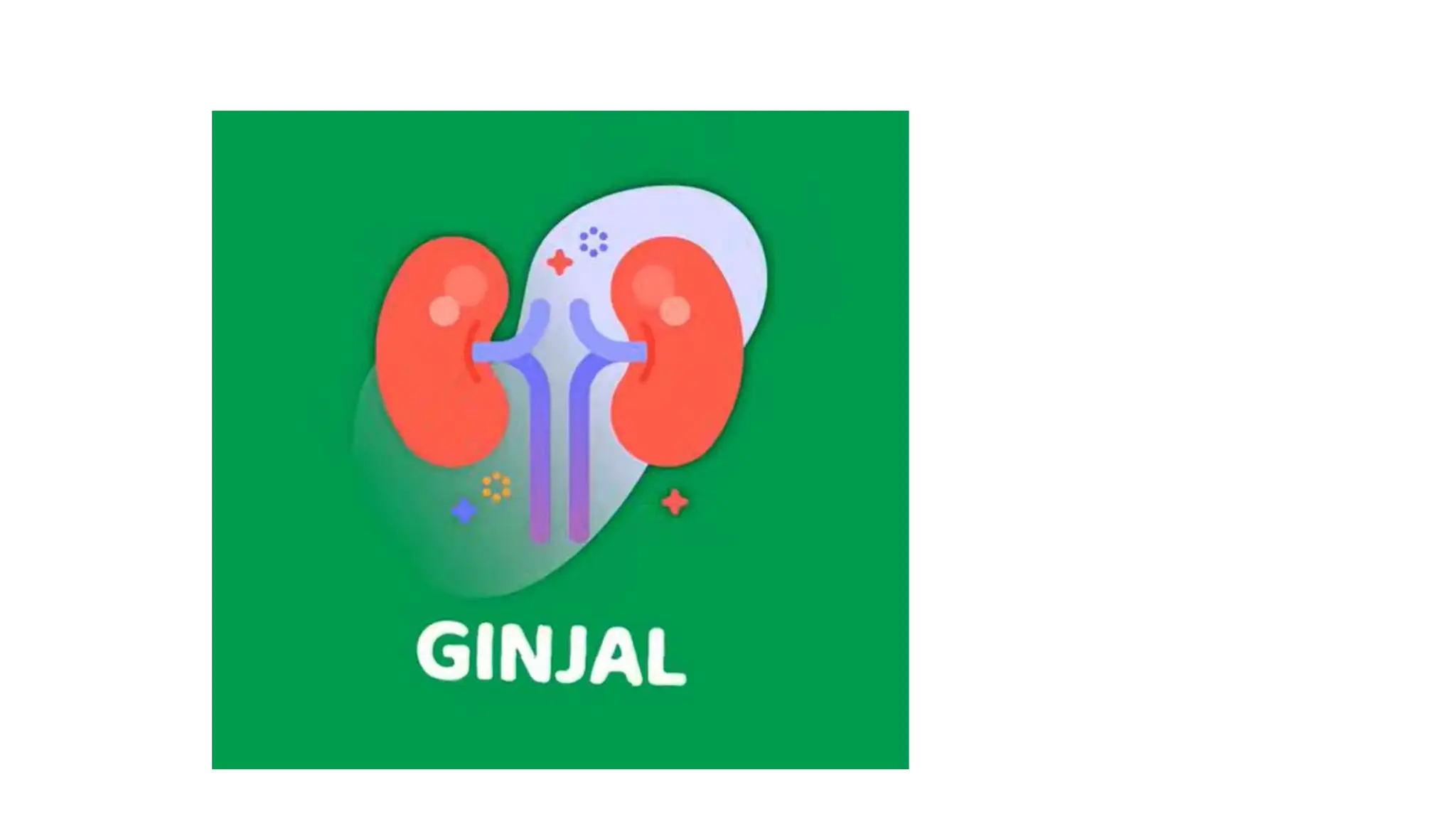 STRUKTUR DAN FUNSI SEL PENYUSUN JARINGAN PADA SISTEM EKSKRESI.pptx