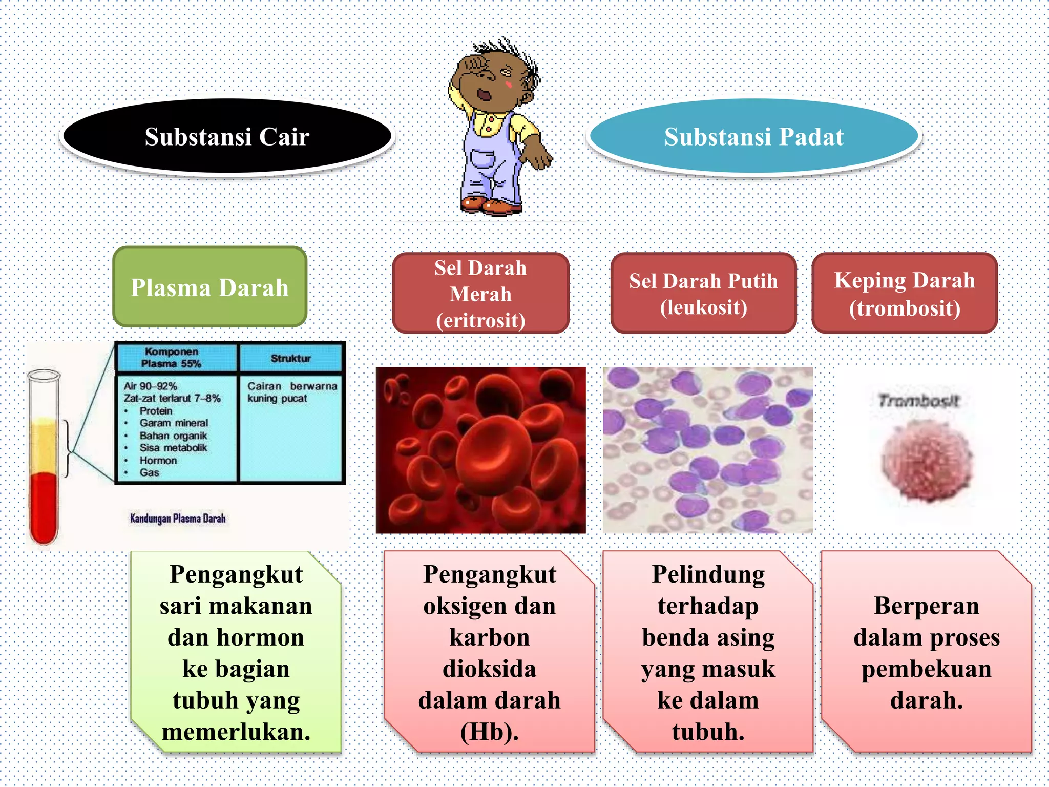 STRUKTUR DAN JARINGAN HEWAN | PPTX