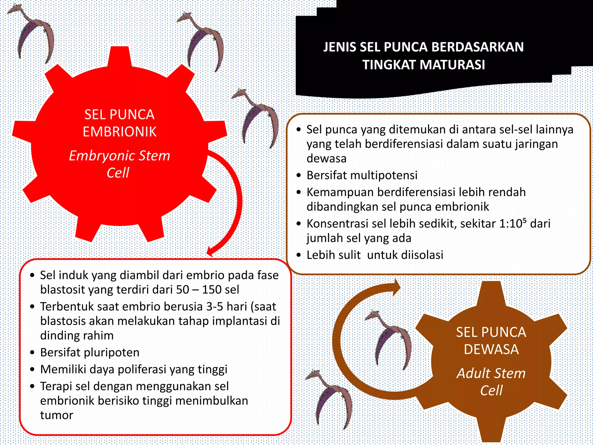 STRUKTUR DAN JARINGAN HEWAN | PPTX