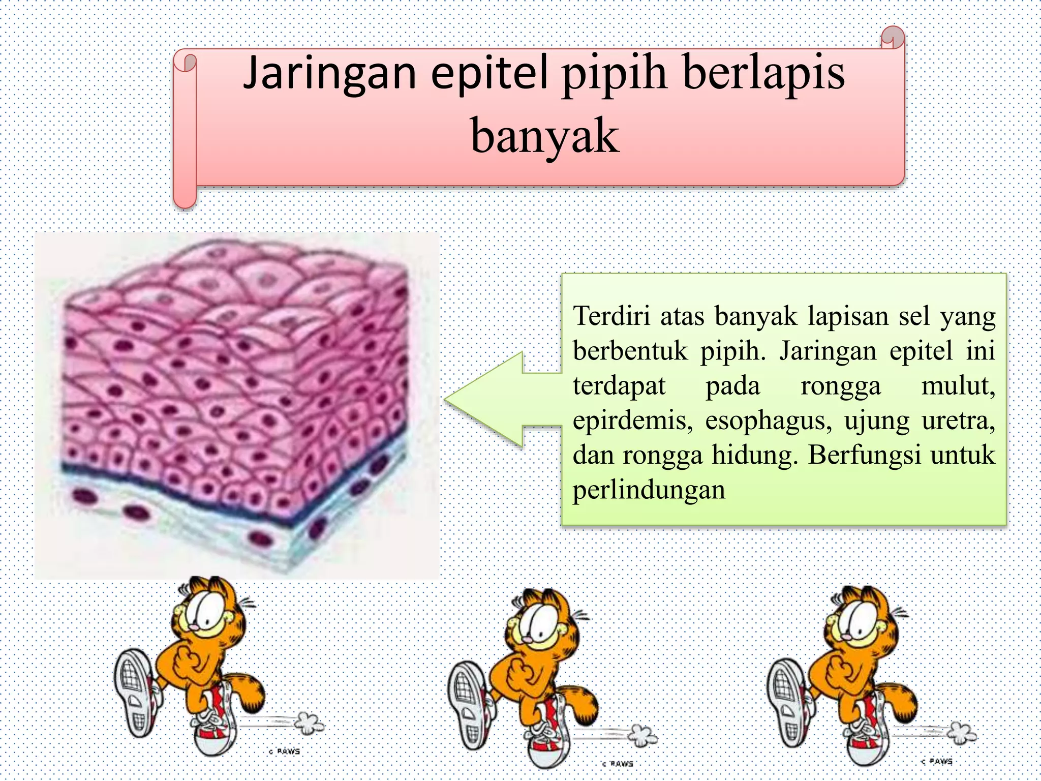 STRUKTUR DAN JARINGAN HEWAN | PPTX