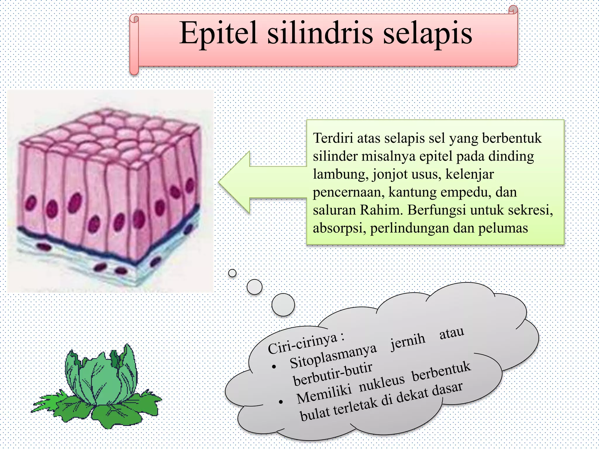 STRUKTUR DAN JARINGAN HEWAN | PPTX