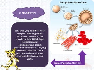 STRUKTUR DAN JARINGAN HEWAN | PPTX